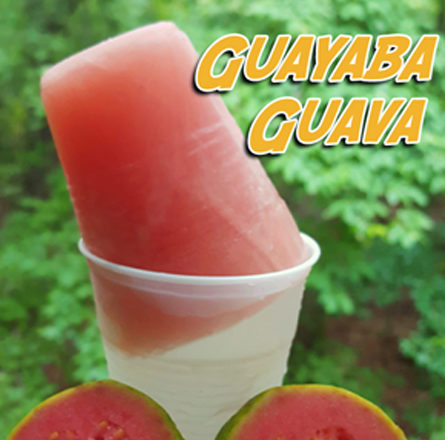 Little Lindbergh’s – Icy Puerto Rican Treats
